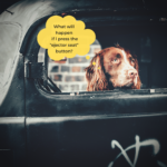 How to Make Your iOS and Android Apps more Interactive - Async Labs - Software Development ...